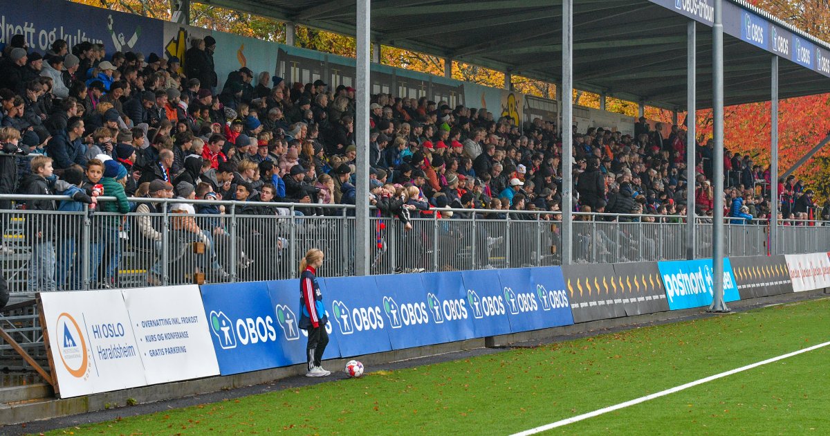 Vil du bli samarbeidspartner? / SKEID